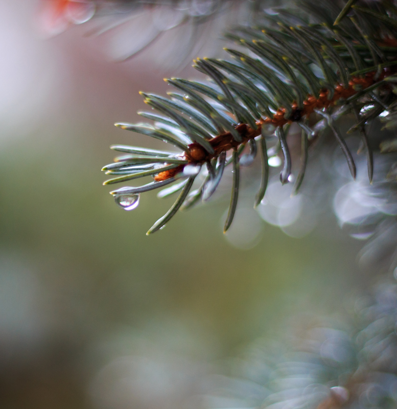 Nature Journal: Get Outside [Photos] » My Bountiful Life